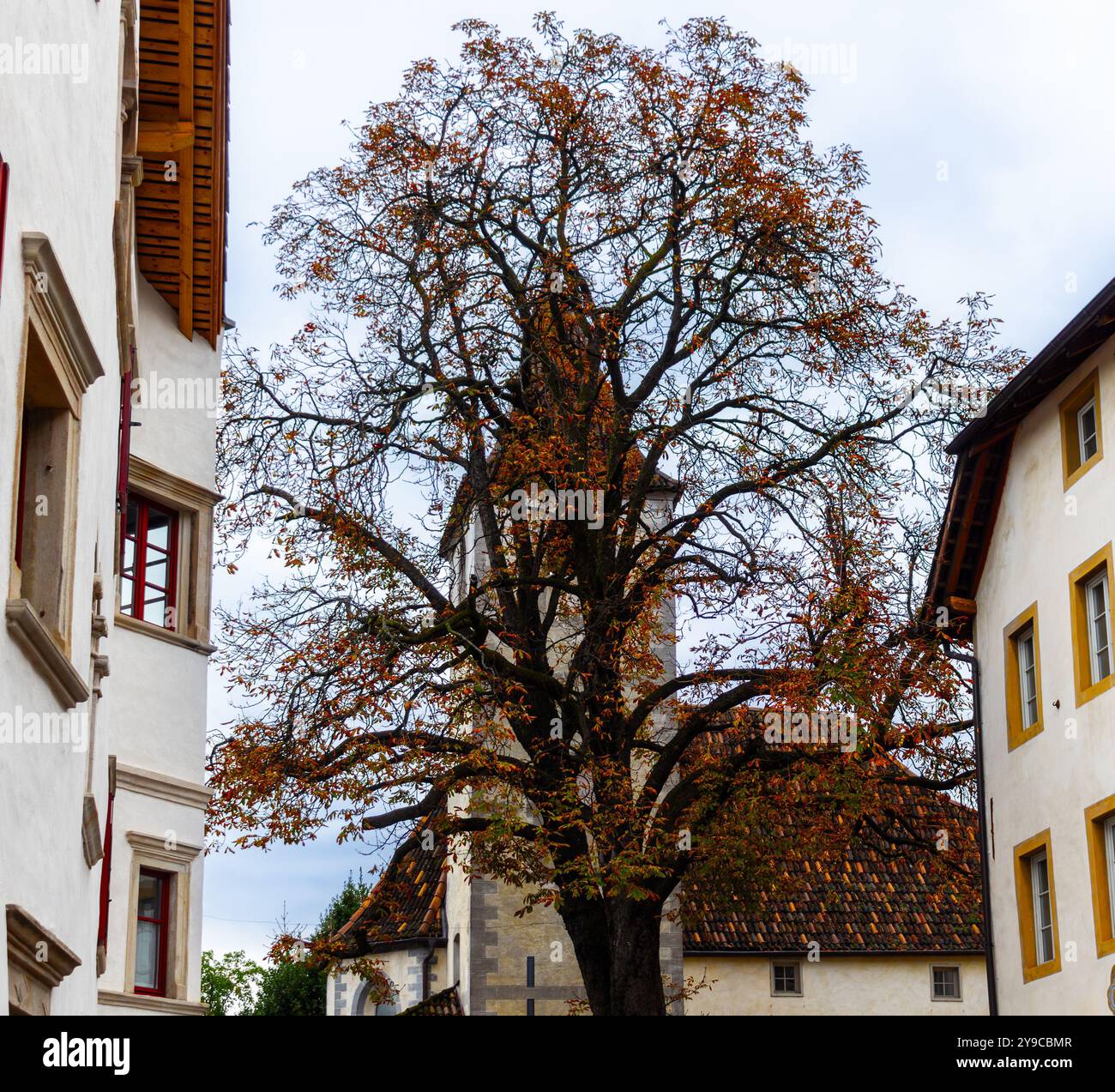 This is what I called Autumn in town: Buildings, trees, sky: all those ...