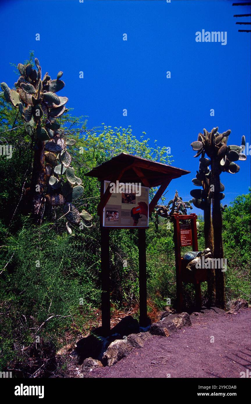 Charles Darwin Station Stock Photo - Alamy