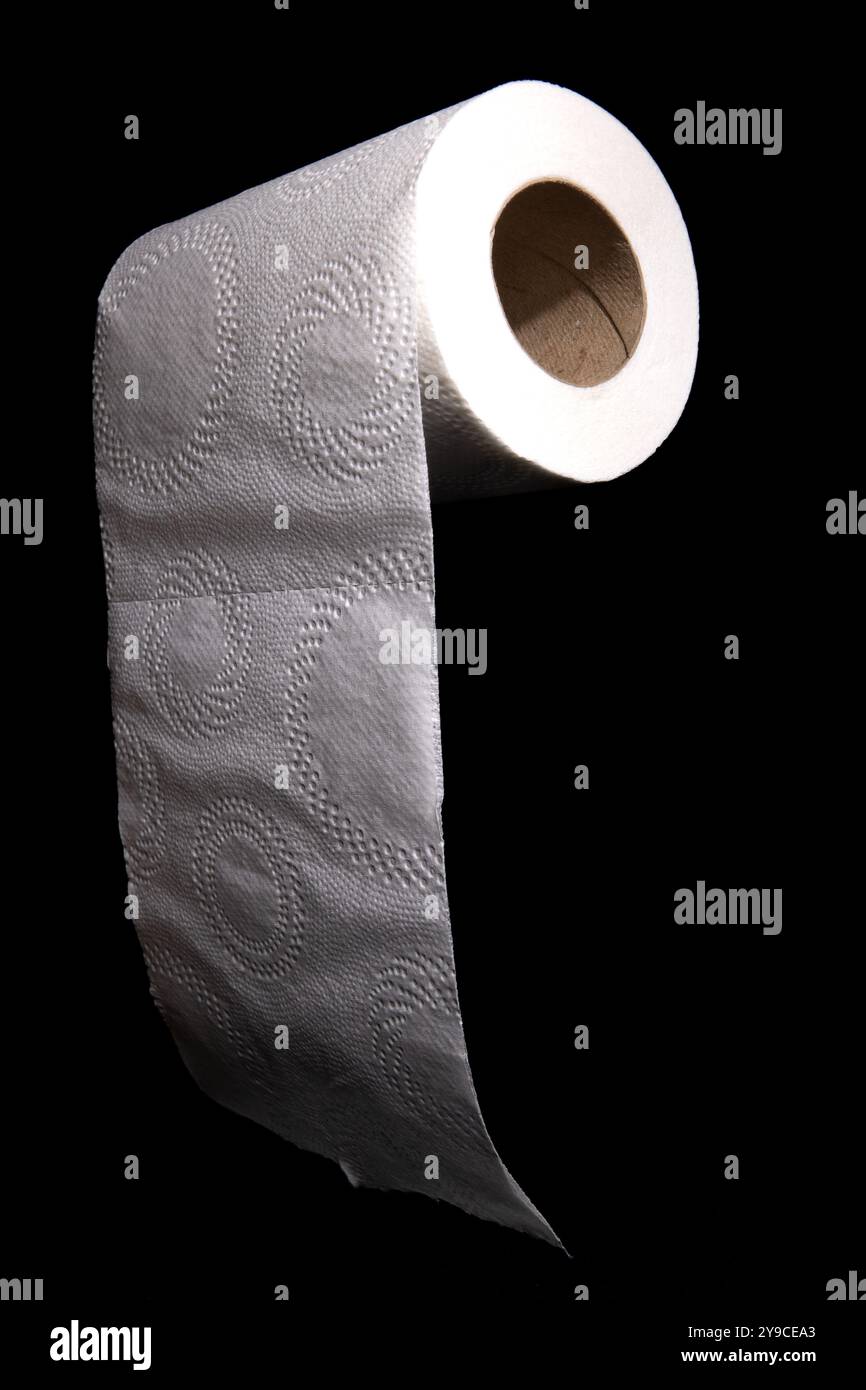 A single roll of white toilet paper with an embossed design is ...