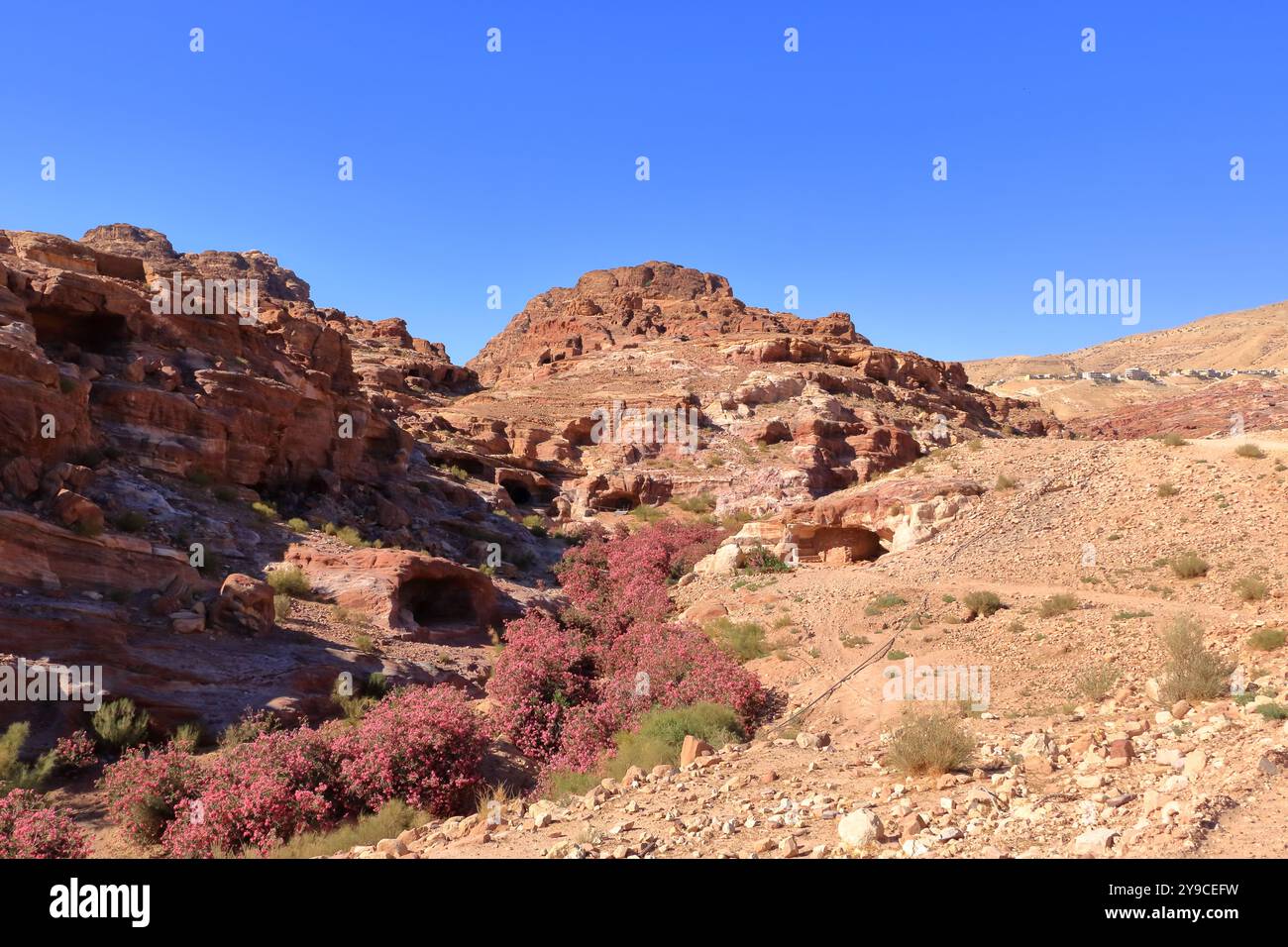 footpath in the rock along Ad-Deir Trail Monastery Route in the ...