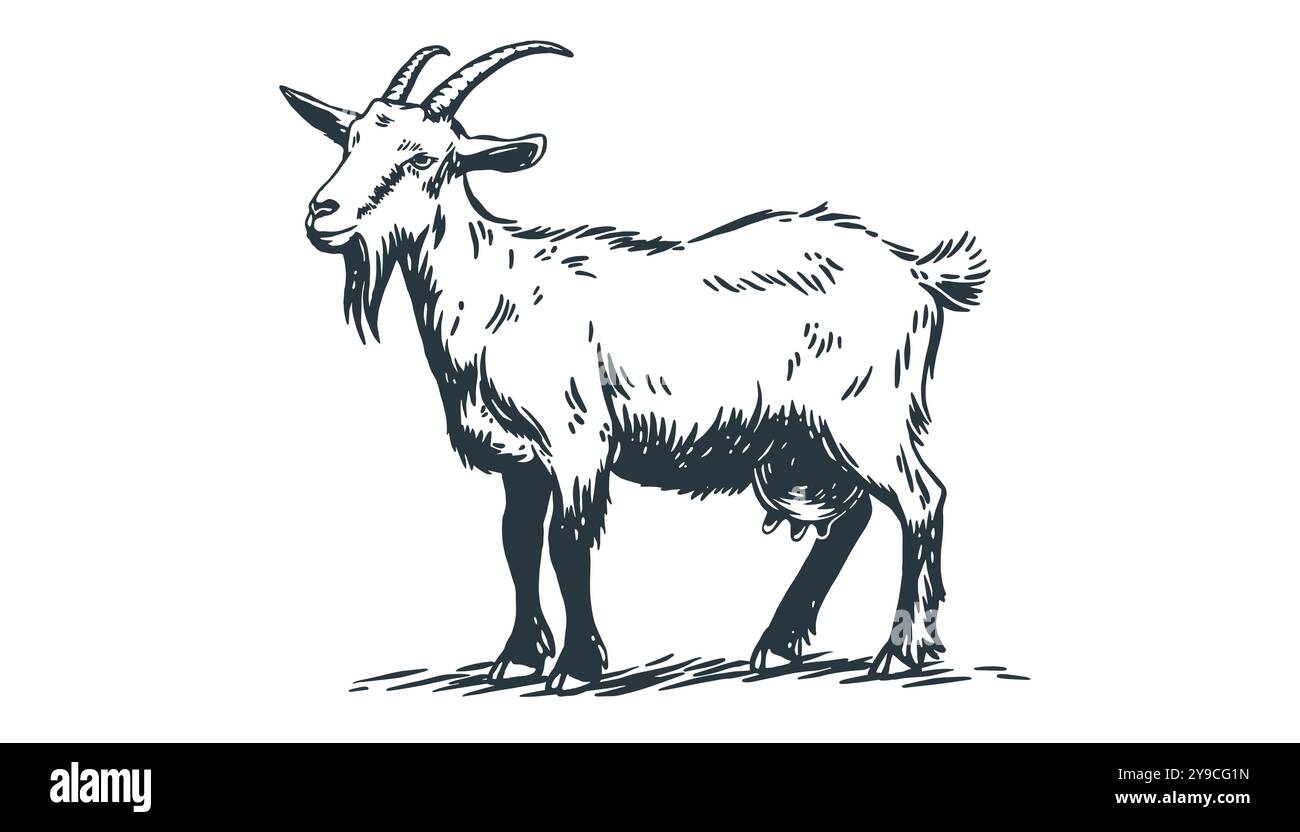 Goat. Vintage retro print, black white Stock Vector Image & Art - Alamy