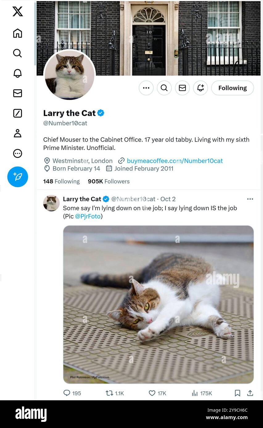 Larry the cat x hi-res stock photography and images - Alamy