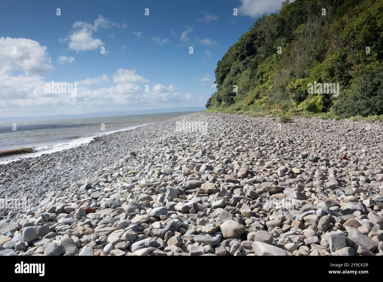 Long pebble beach at the base of a cliff that is covered in green ...