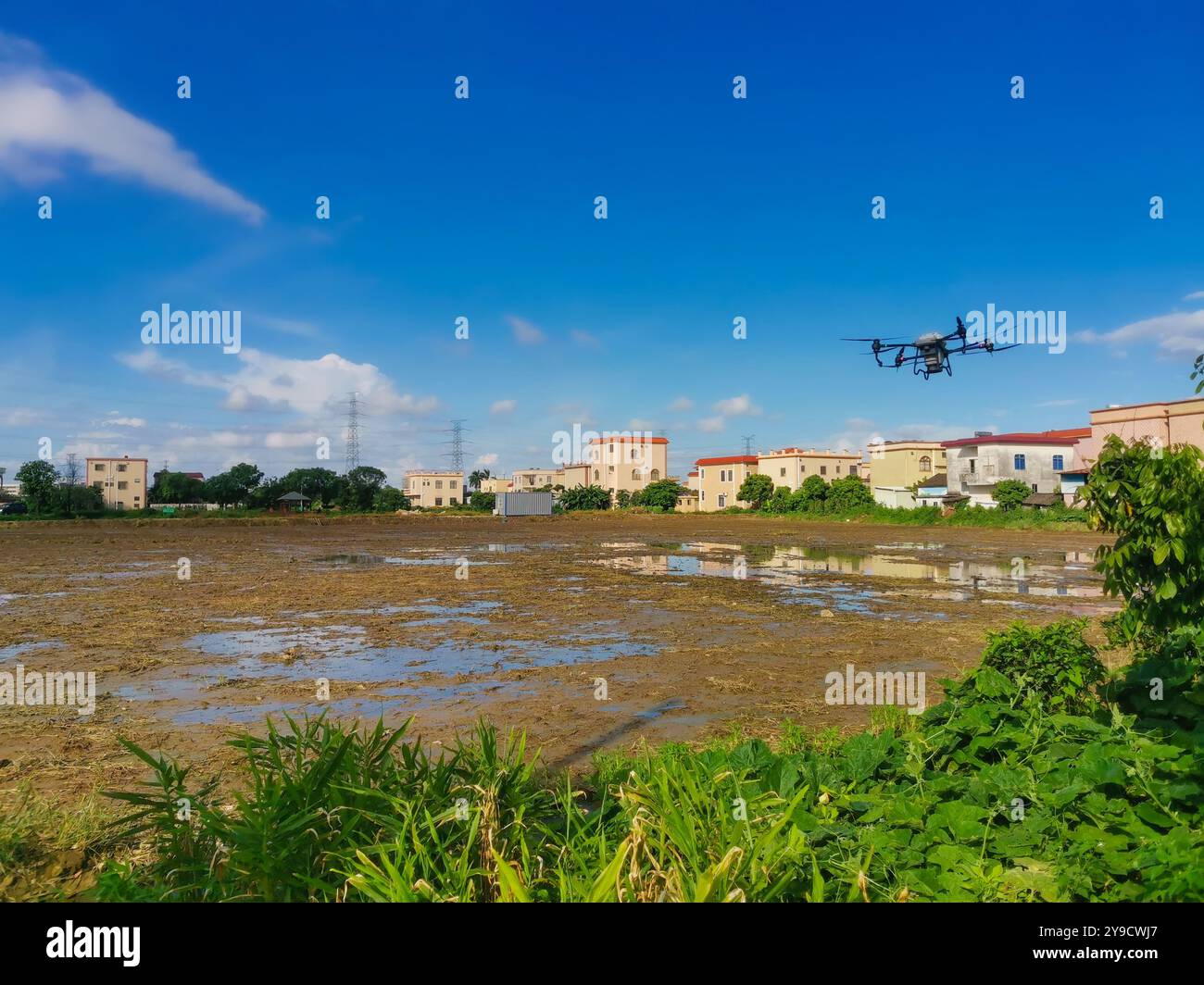 Rice seeder hi-res stock photography and images - Alamy