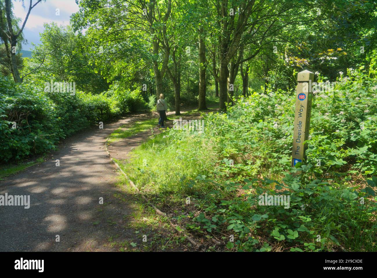 Banchory, Royal Deeside. looking west towards Banchory village. Walker ...