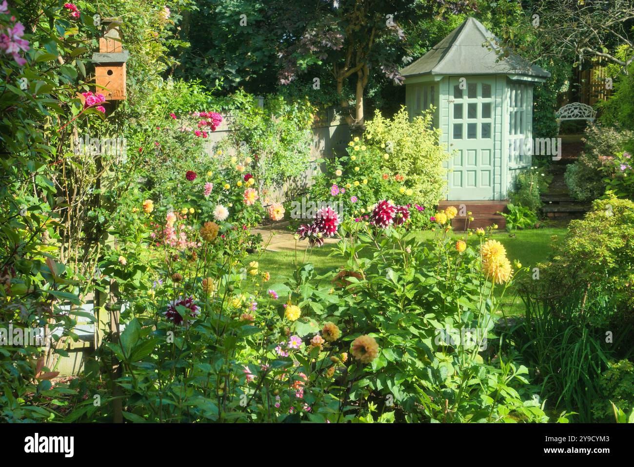 Enclosed House / Home Back garden with sunshine. Bespoke summerhouse ...