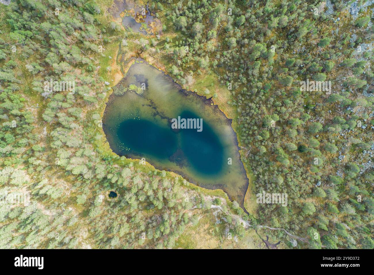 Aerial view of a small lake in the middle of forest surrounded by ...