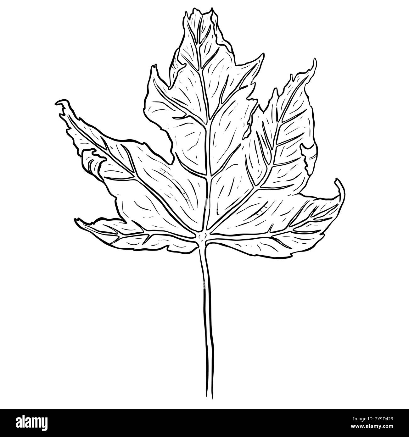 Autumn clipart Black and White Stock Photos & Images - Alamy