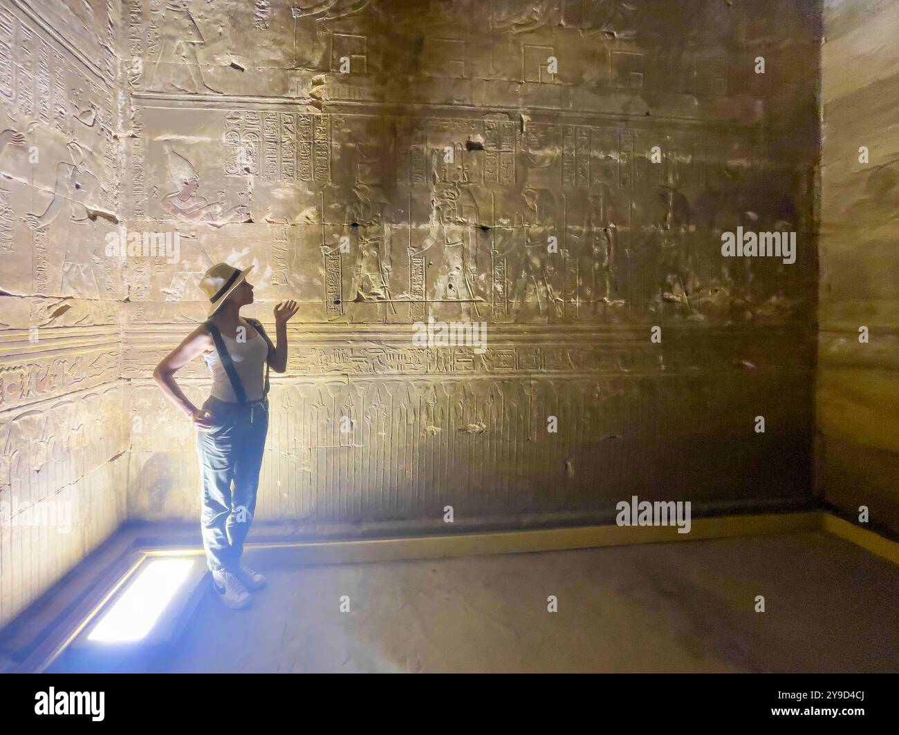 Intellectual explorer unraveling the ancient secrets hidden in the ...