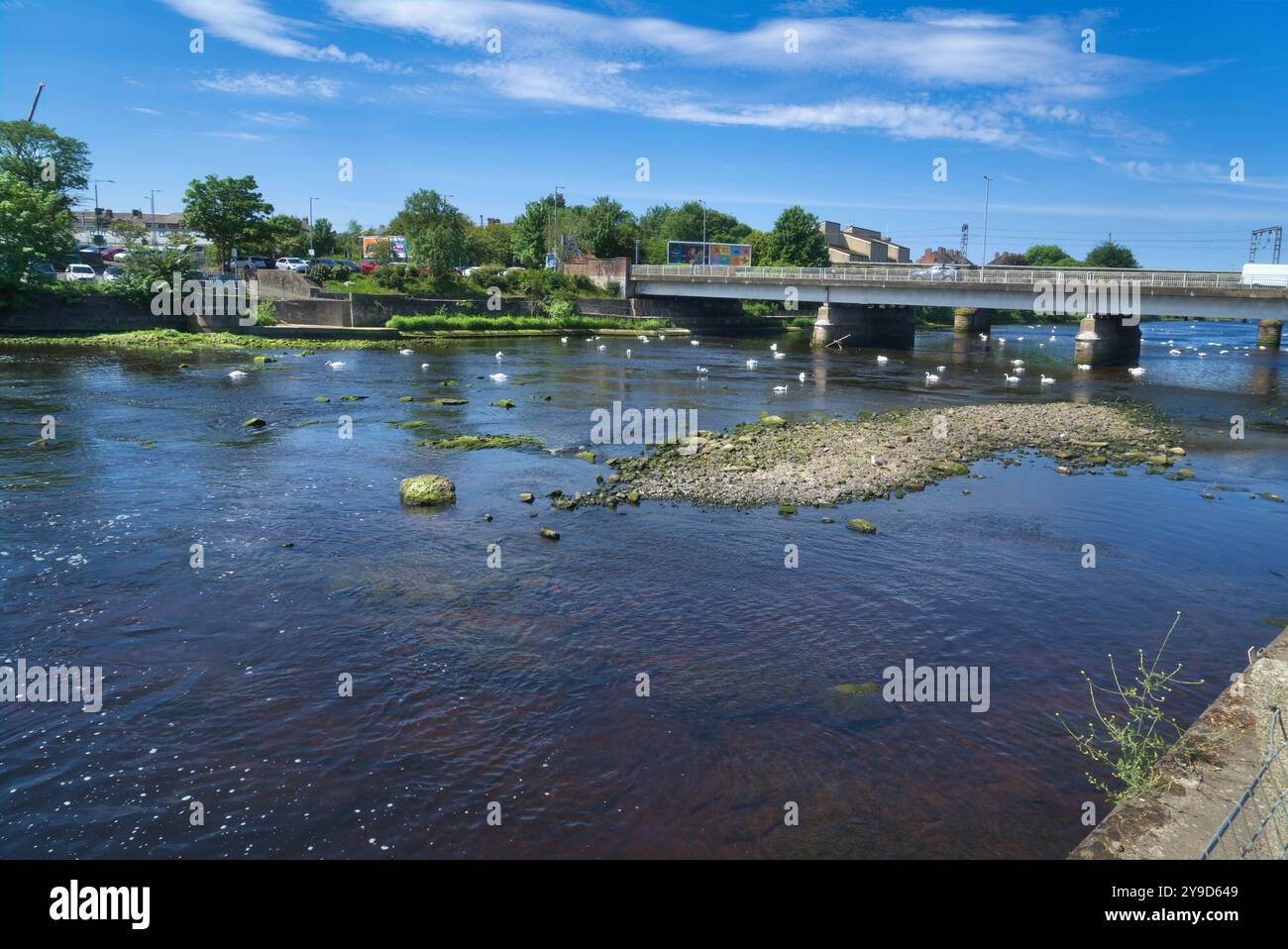 Photograph shows River Ayr flowing through Ayr town. Beautiful clear ...