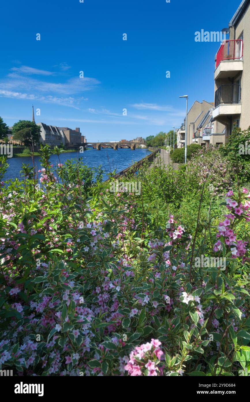 Photograph shows River Ayr flowing through Ayr town. Beautiful clear ...