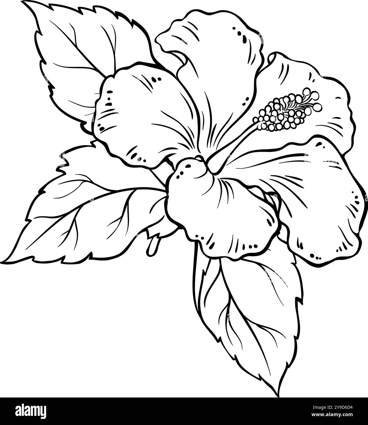 Hibiscus Branch Isolated Outline Illustration Stock Vector Image & Art ...