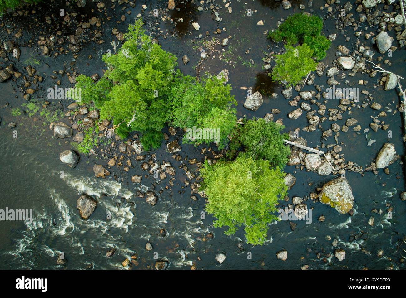 Aerial view of rocks and trees in forest river landscape in Swedish ...