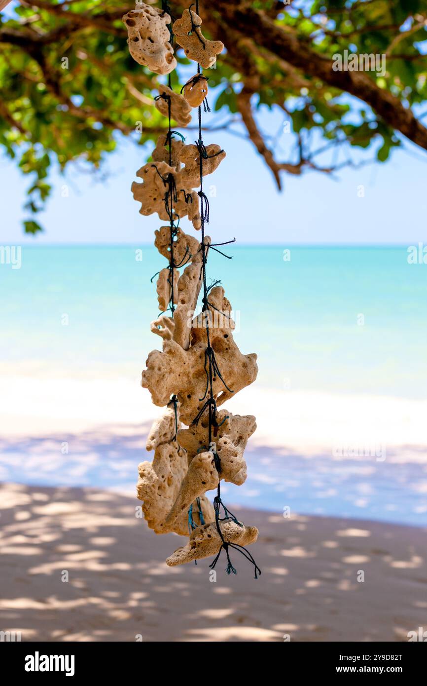 Seascape. Pieces of coral are suspended on threads from a tree on a ...