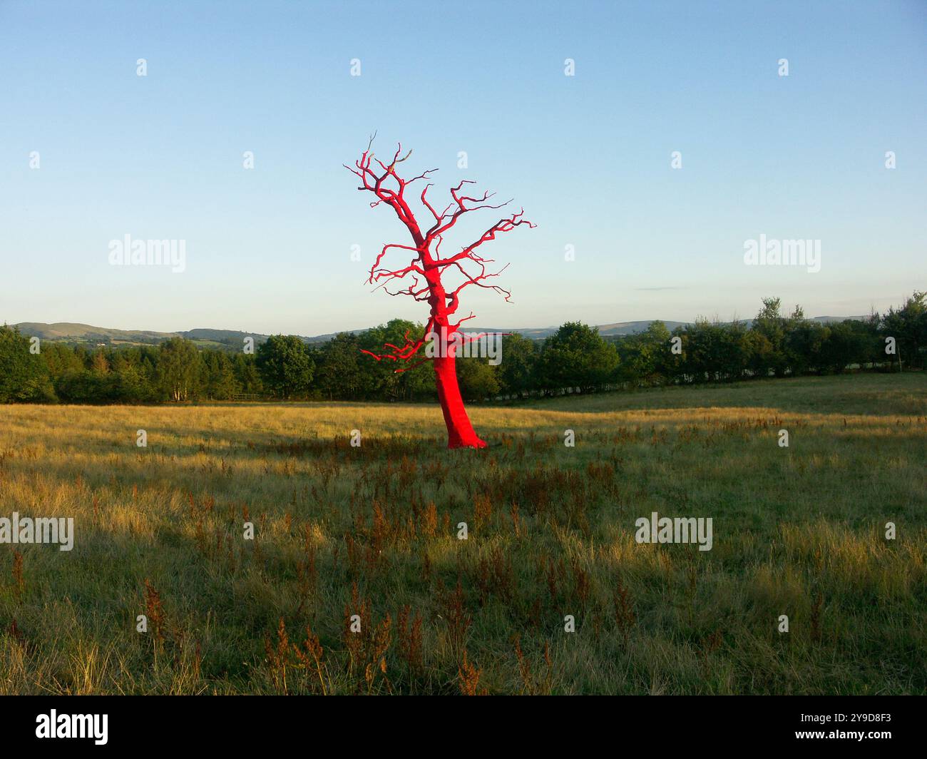 Red Tree (2004), by the artist Philippa Lawrence, from her 'Bound' art ...