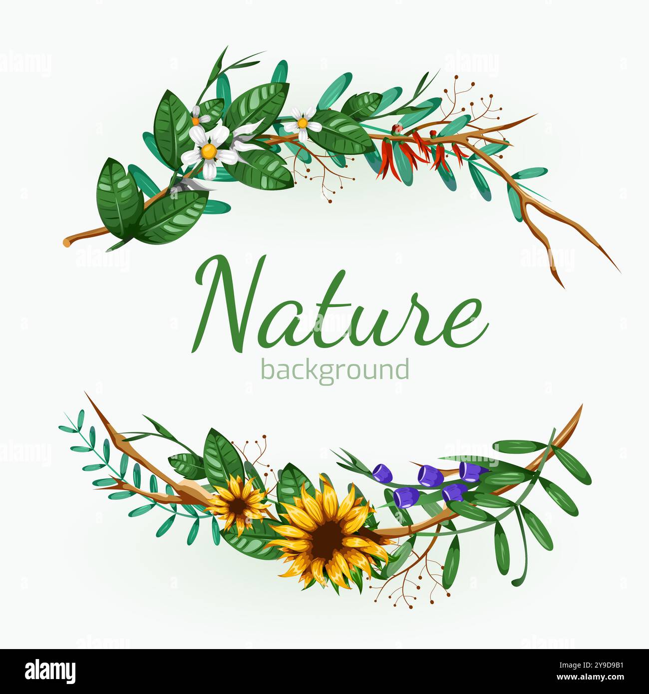 Green floral banner with isolated on white background. Flowers ...