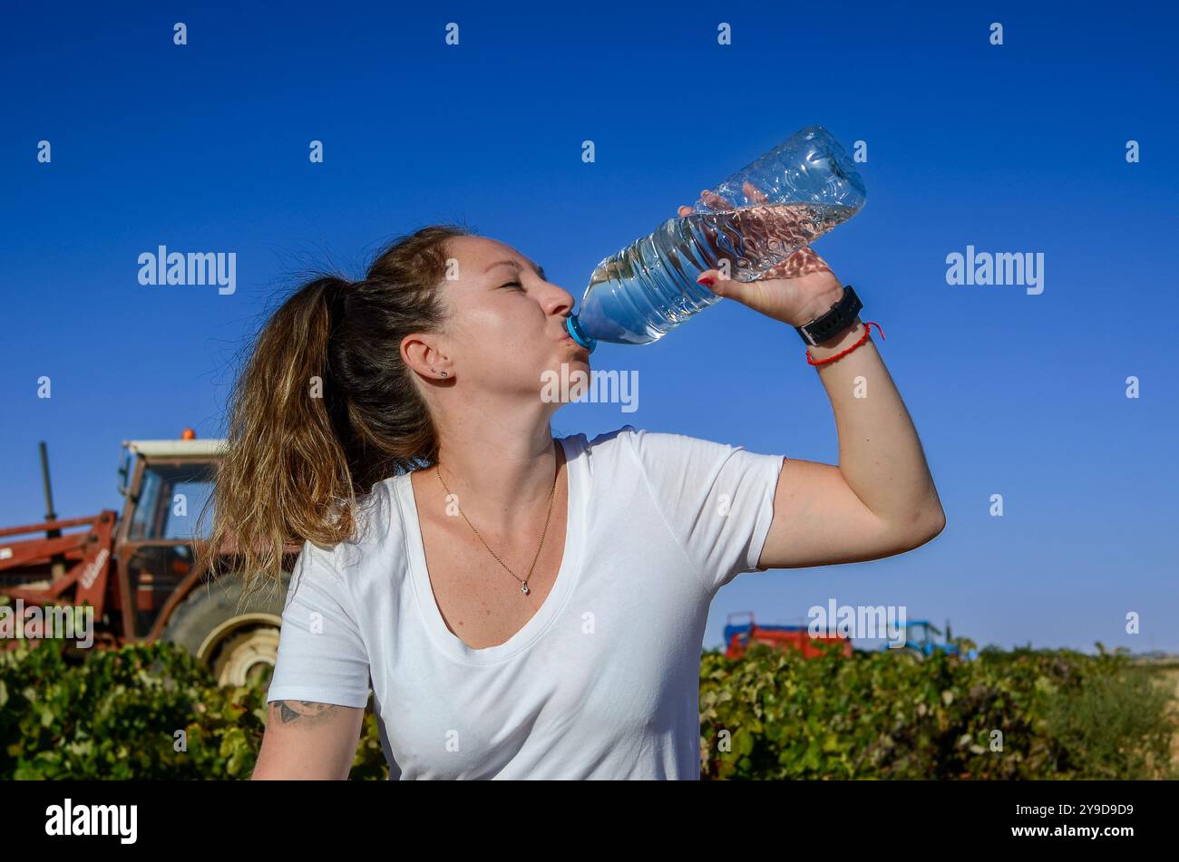 farmer woman drinking water with a red tractor behind Stock Photo - Alamy