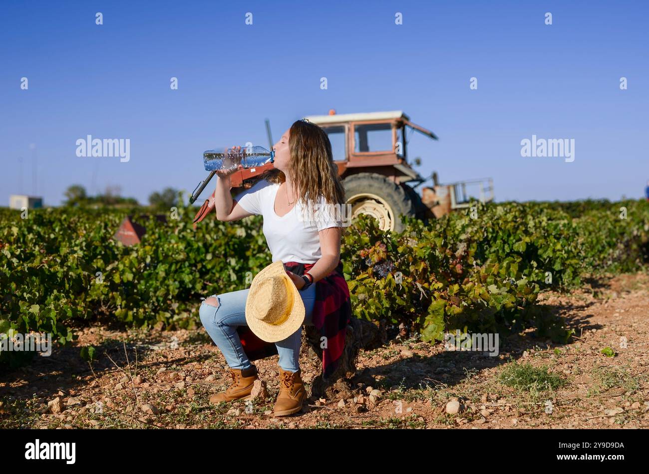 farmer woman drinking water with a red tractor behind Stock Photo - Alamy