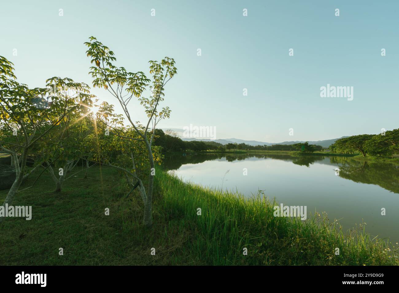 Singha Park (Boon Rawd Farm), Chiang Rai, Thailand Stock Photo - Alamy