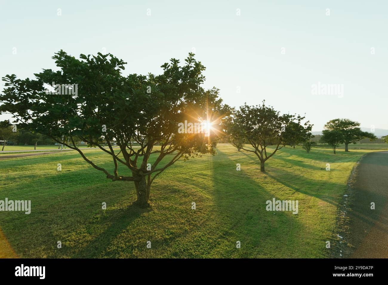 Singha Park (Boon Rawd Farm), Chiang Rai, Thailand Stock Photo - Alamy