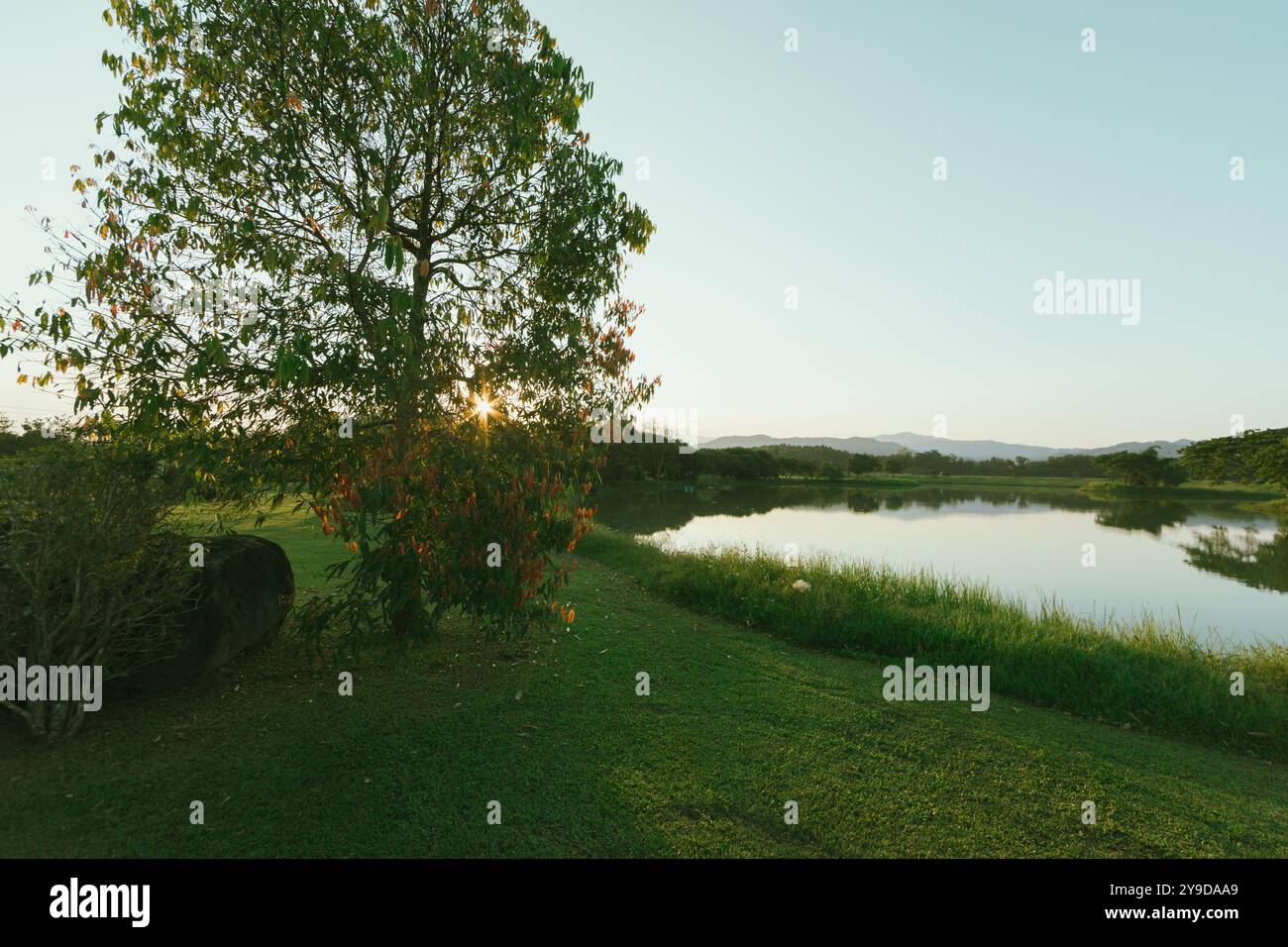 Singha Park (Boon Rawd Farm), Chiang Rai, Thailand Stock Photo - Alamy