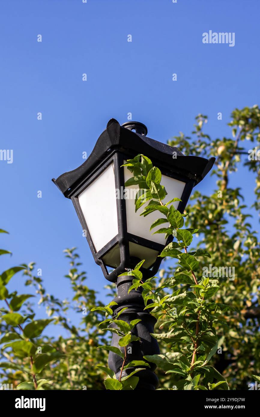 A tall lamp post stands prominently, with a majestic tree in the ...