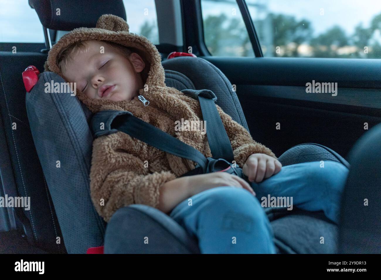 Child sleeping in a car child seat with a seat belt during a car trip ...
