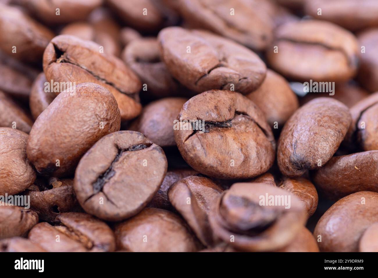 Detailed shot of coffee beans on a reflective surface, set against a ...