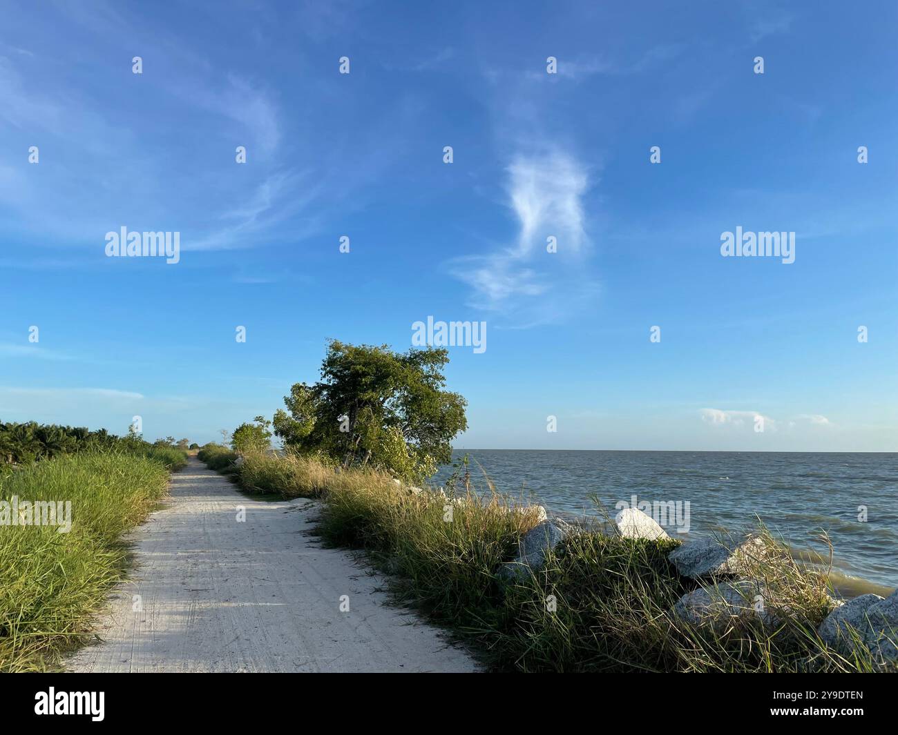 Embracing the stunning beach at midday, where the soft sandy path leads ...