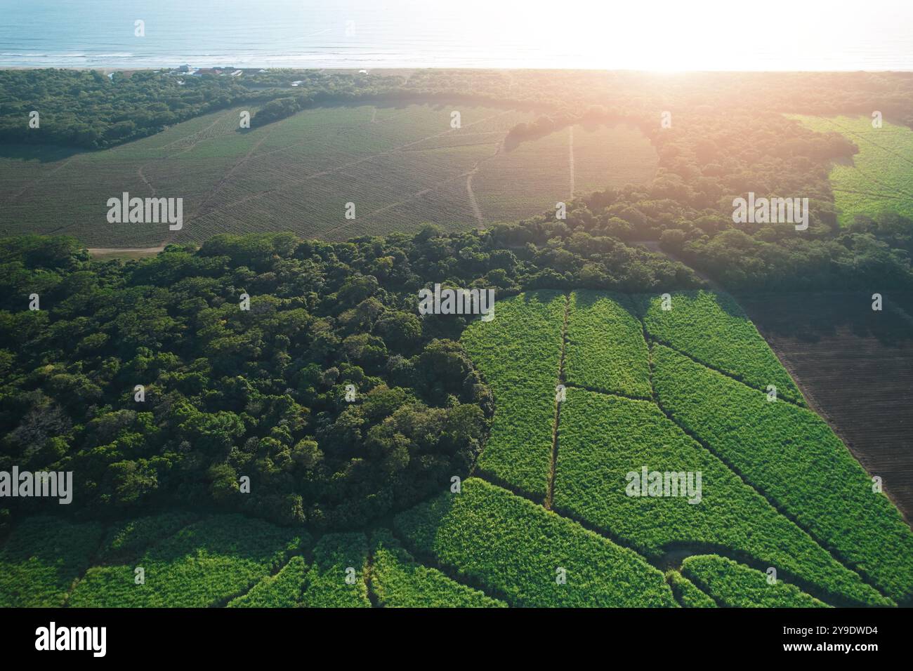 Aerial view drone agricultural area hi-res stock photography and images ...