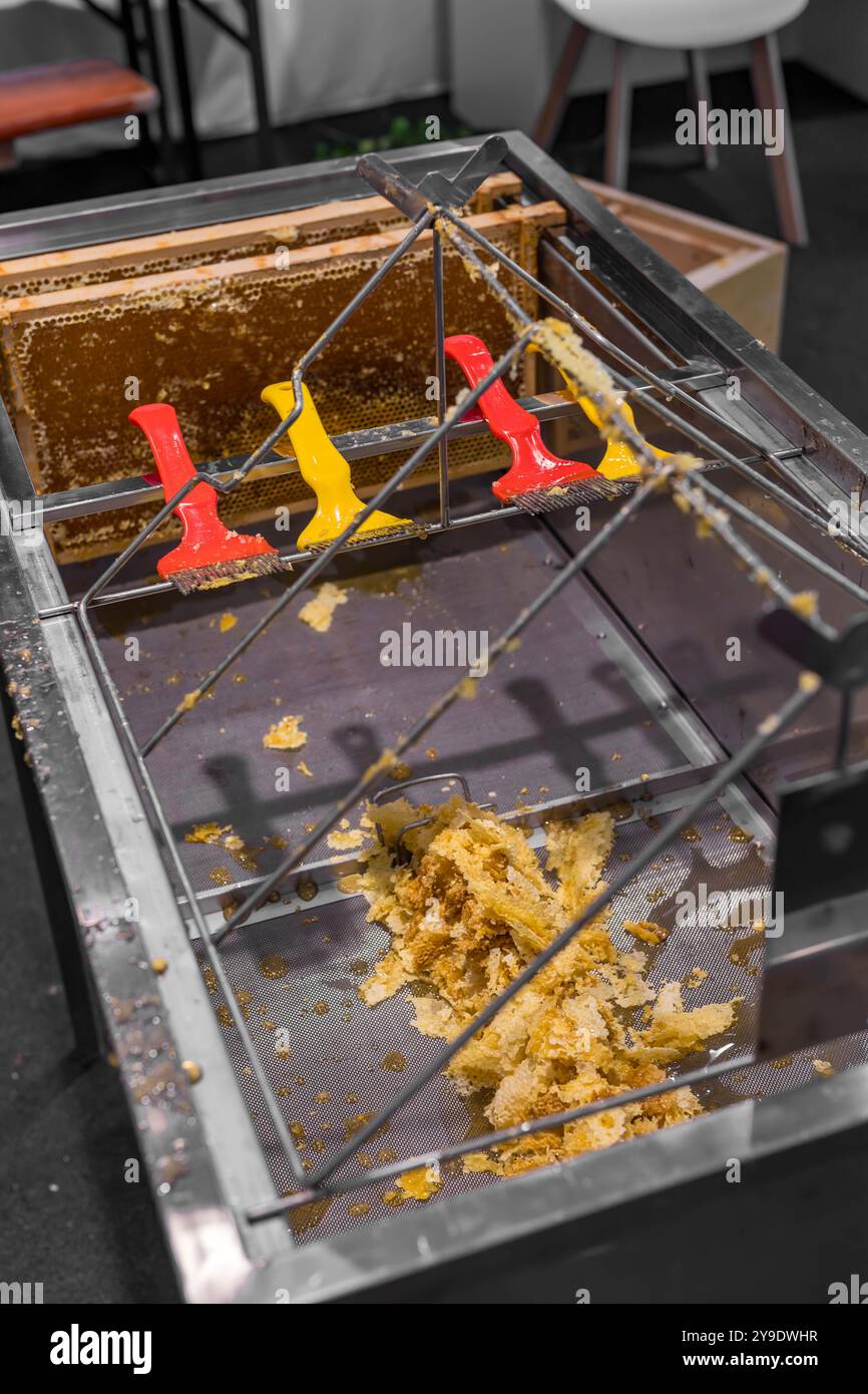 Using beekeeping tools for opening wax cells full of ready product ...