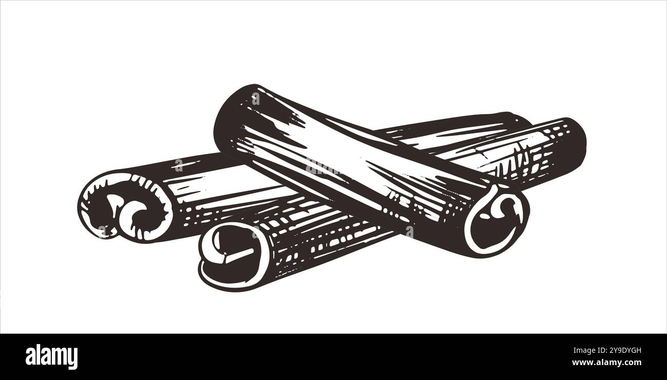 Sketch of cinnamon sticks. Dried Cinnamomum bark in woodcut style. Ink ...