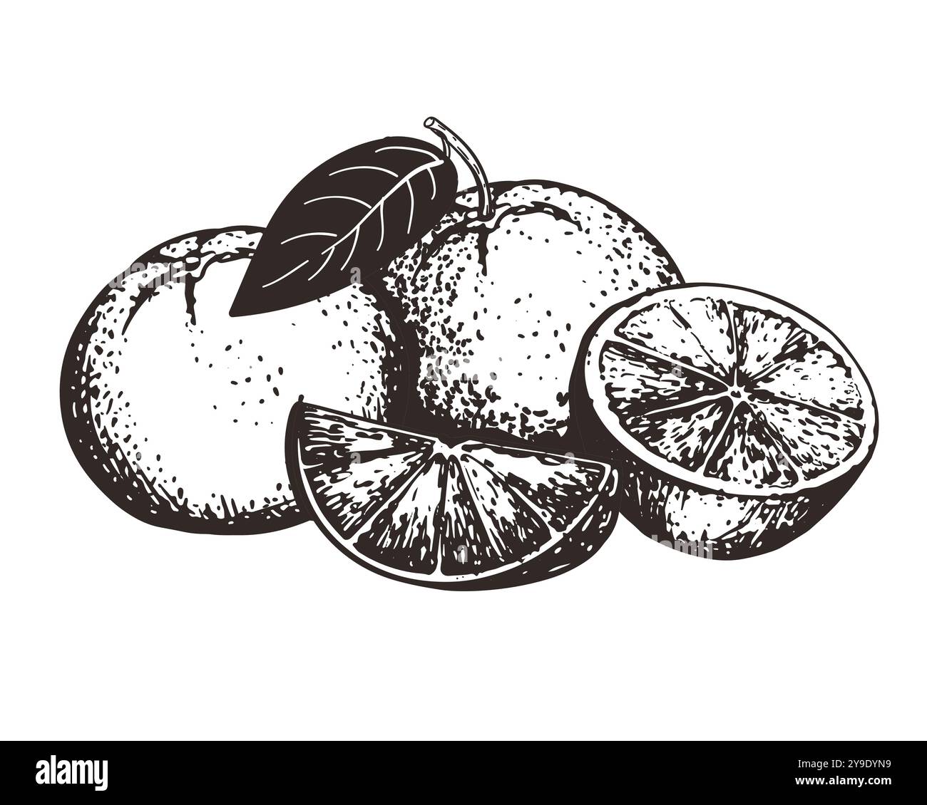 Fruits lie Stock Vector Images - Alamy