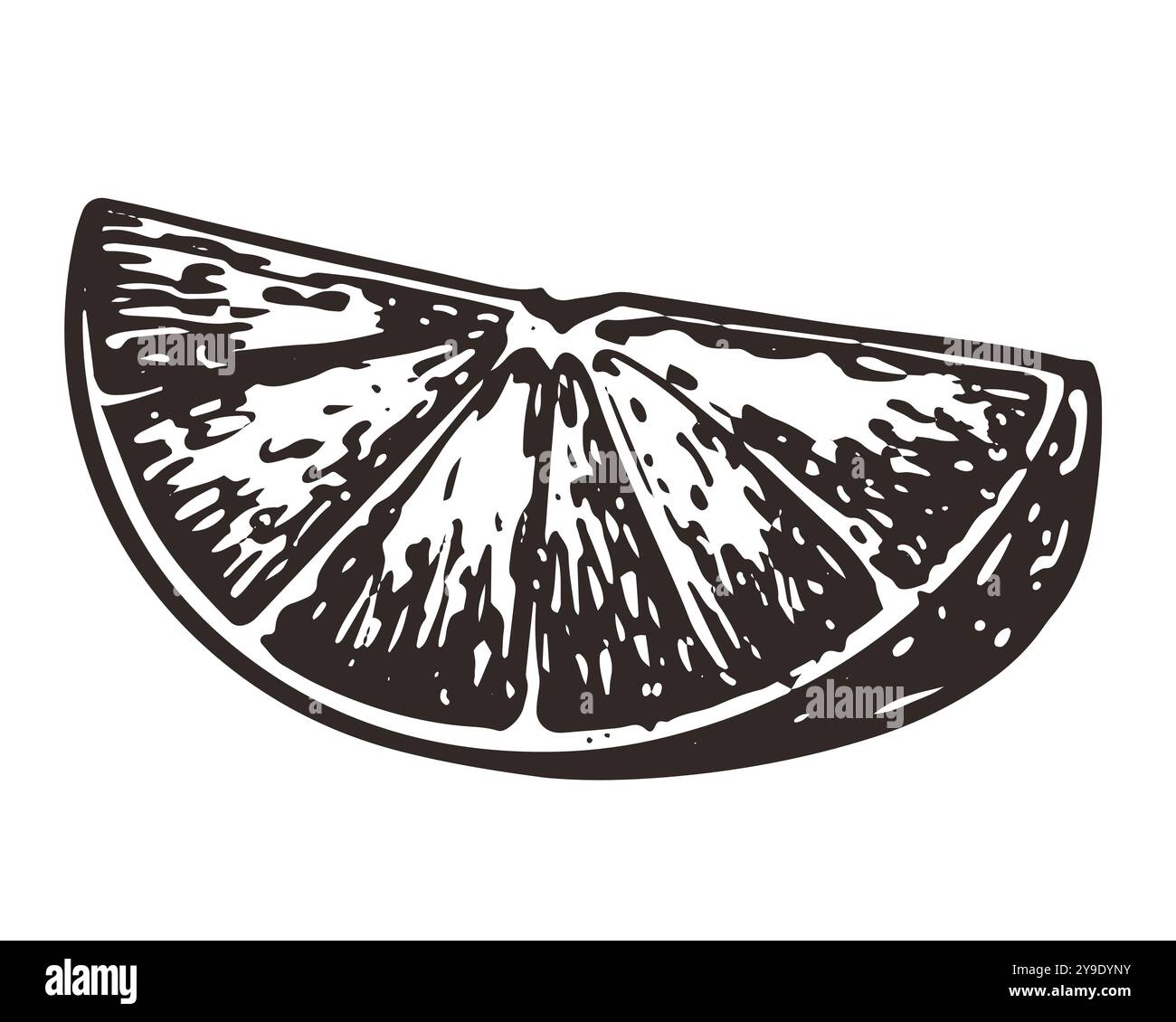 Vector hand drawn orange slice. Monochrome sketches of citrus fruits ...