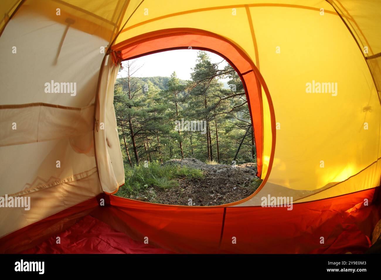 Modern camping tent in wilderness at summer, view on forest through ...