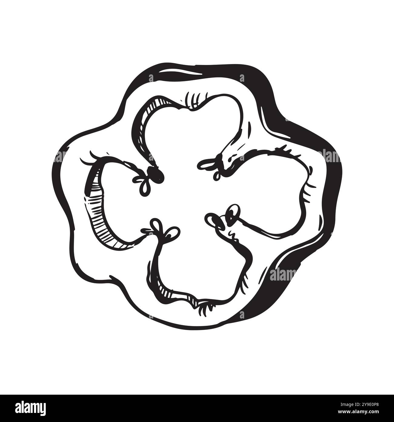 Vector illustration of a piece of ripe paprika. Black ink drawing of a ...