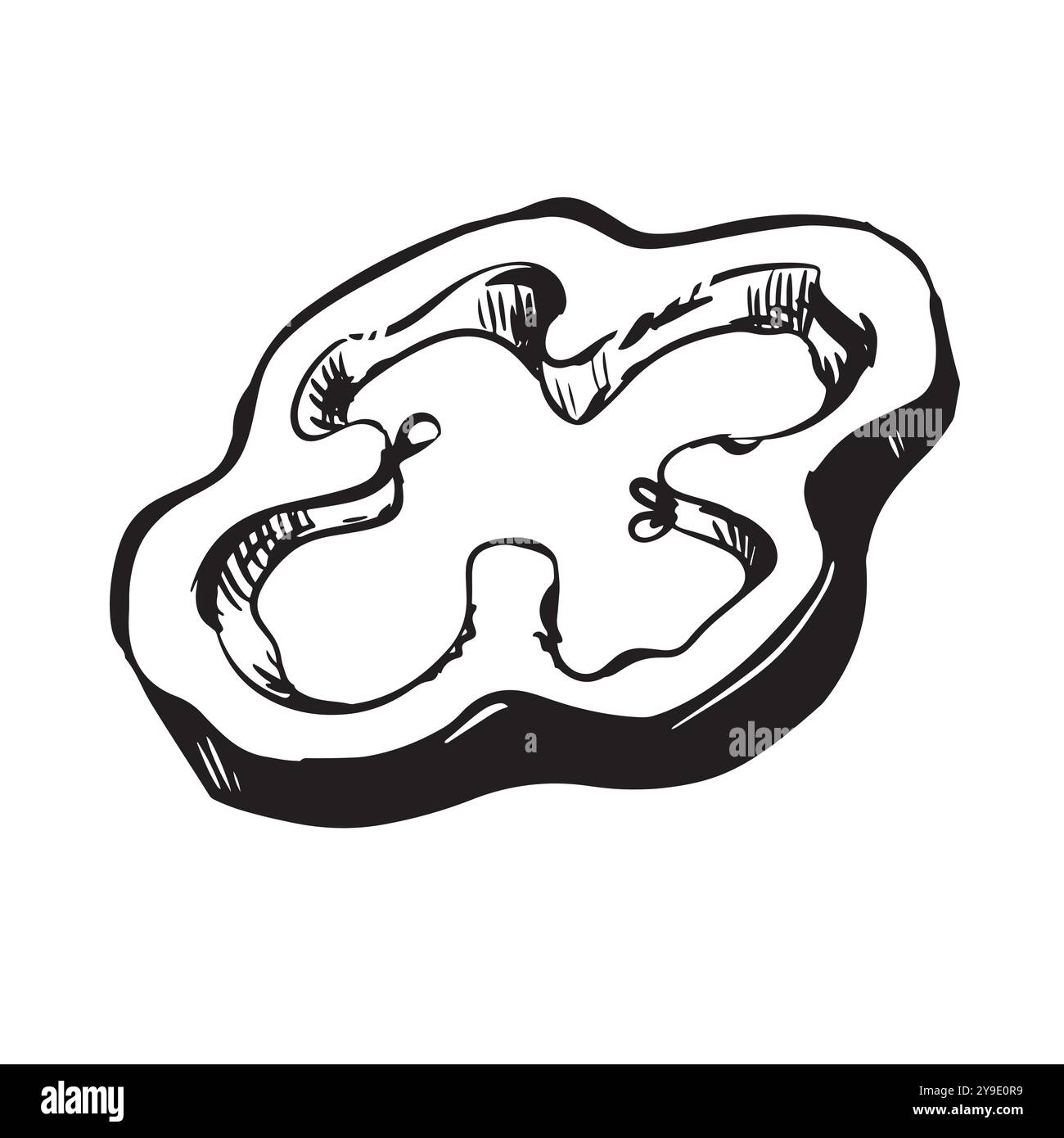 Vector illustration of a piece of ripe paprika. Black ink drawing of a ...