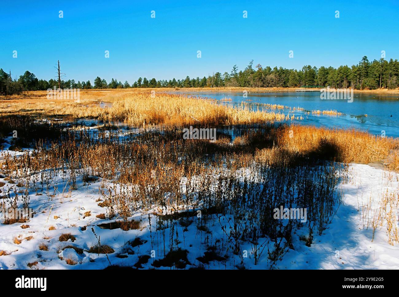 Film Image Beautiful day at Fool Hollow Lake in White mountains of ...