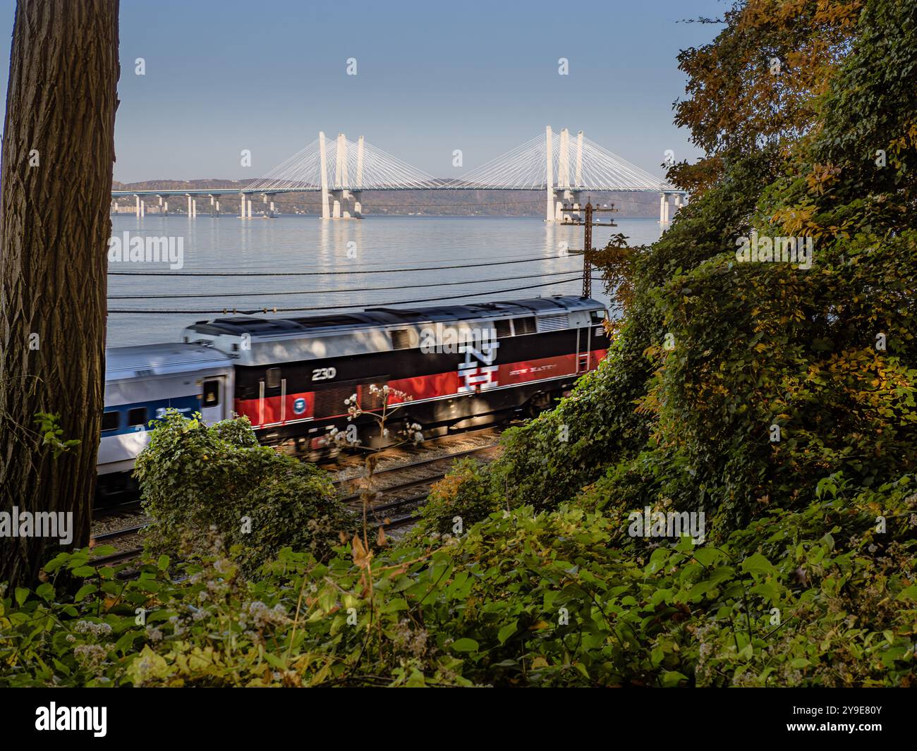 A train passes Lyndhurst Mansion and the Mario Cuomo Bridge at ...
