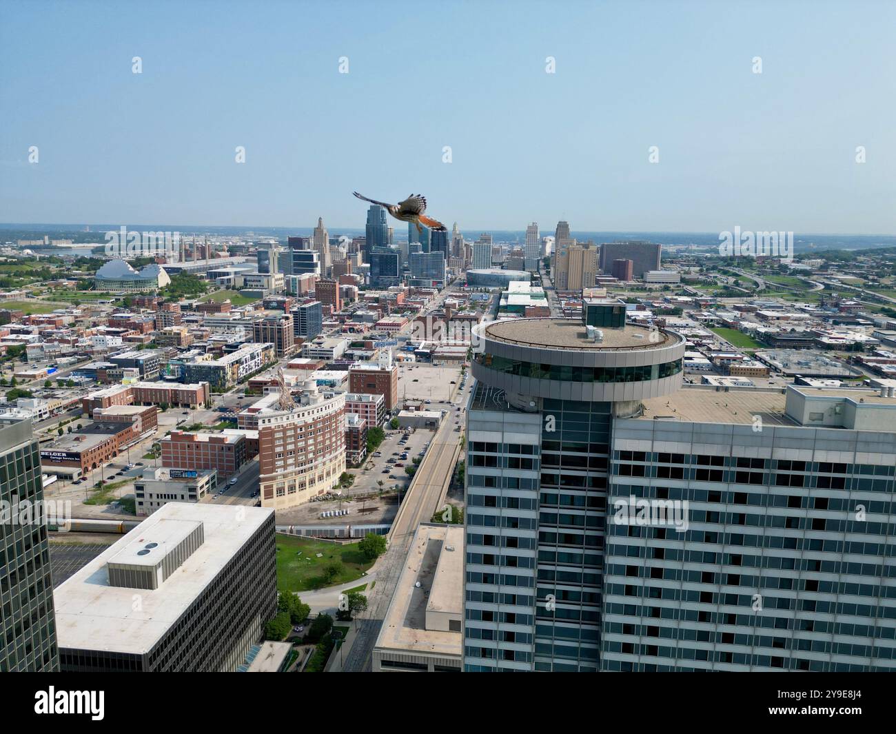 Hawk view restaurant hi-res stock photography and images - Alamy