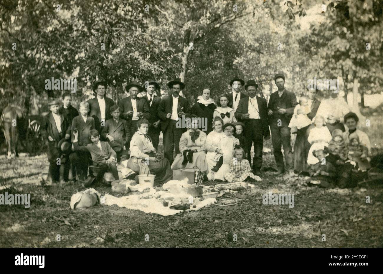 Picnic huge crowd hi-res stock photography and images - Alamy