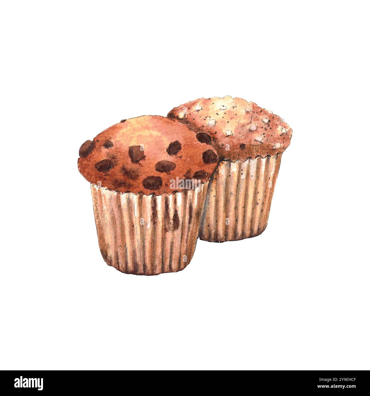 Watercolor muffin sketch. Bakery, cafe, food Stock Photo - Alamy
