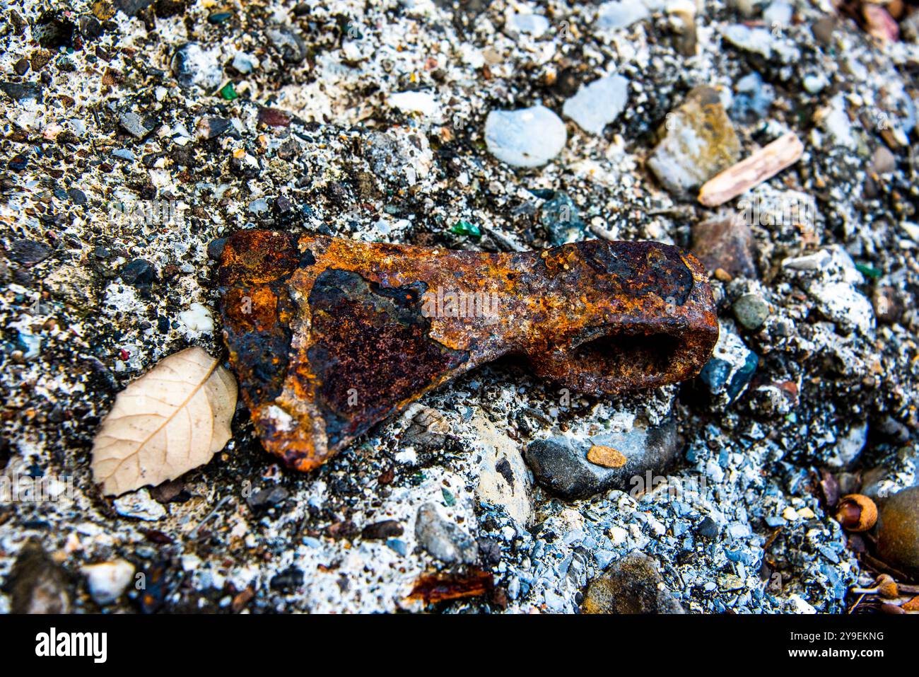 Texture reminiscent of nature hi-res stock photography and images - Alamy