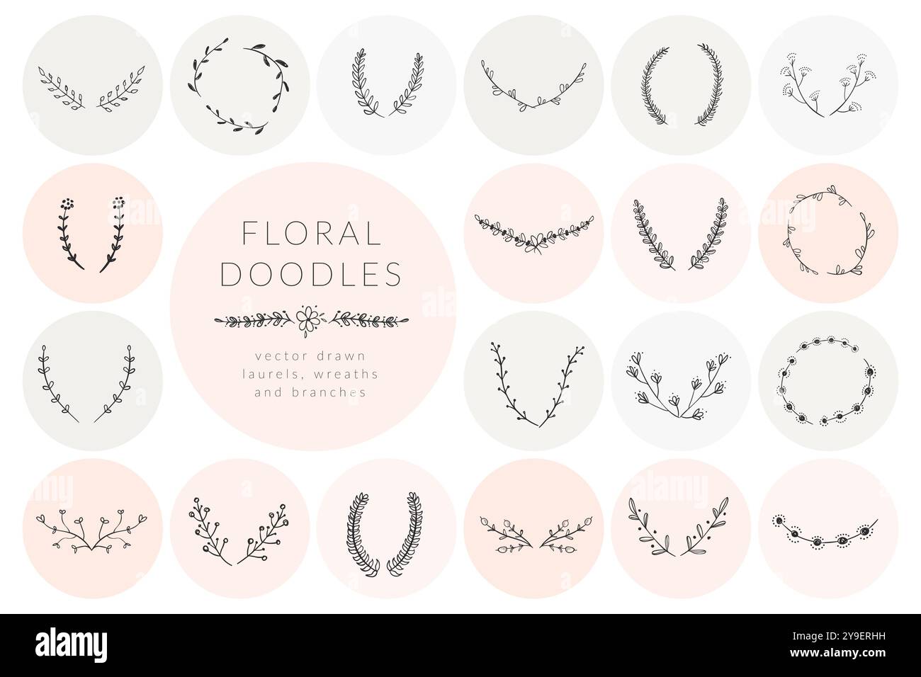 Vector wildflowers floral botanical Cut Out Stock Images & Pictures - Alamy