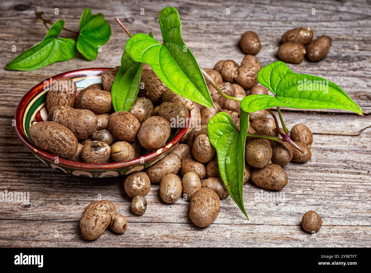 Aerial tuber hi-res stock photography and images - Alamy