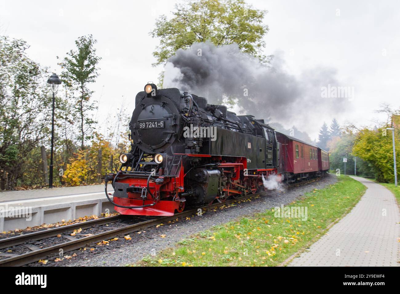 A steam train on the Harz narrow gauge mountain railway Stock Photo - Alamy