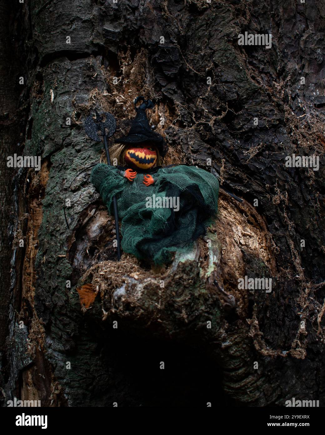 Scary face tree hi-res stock photography and images - Alamy