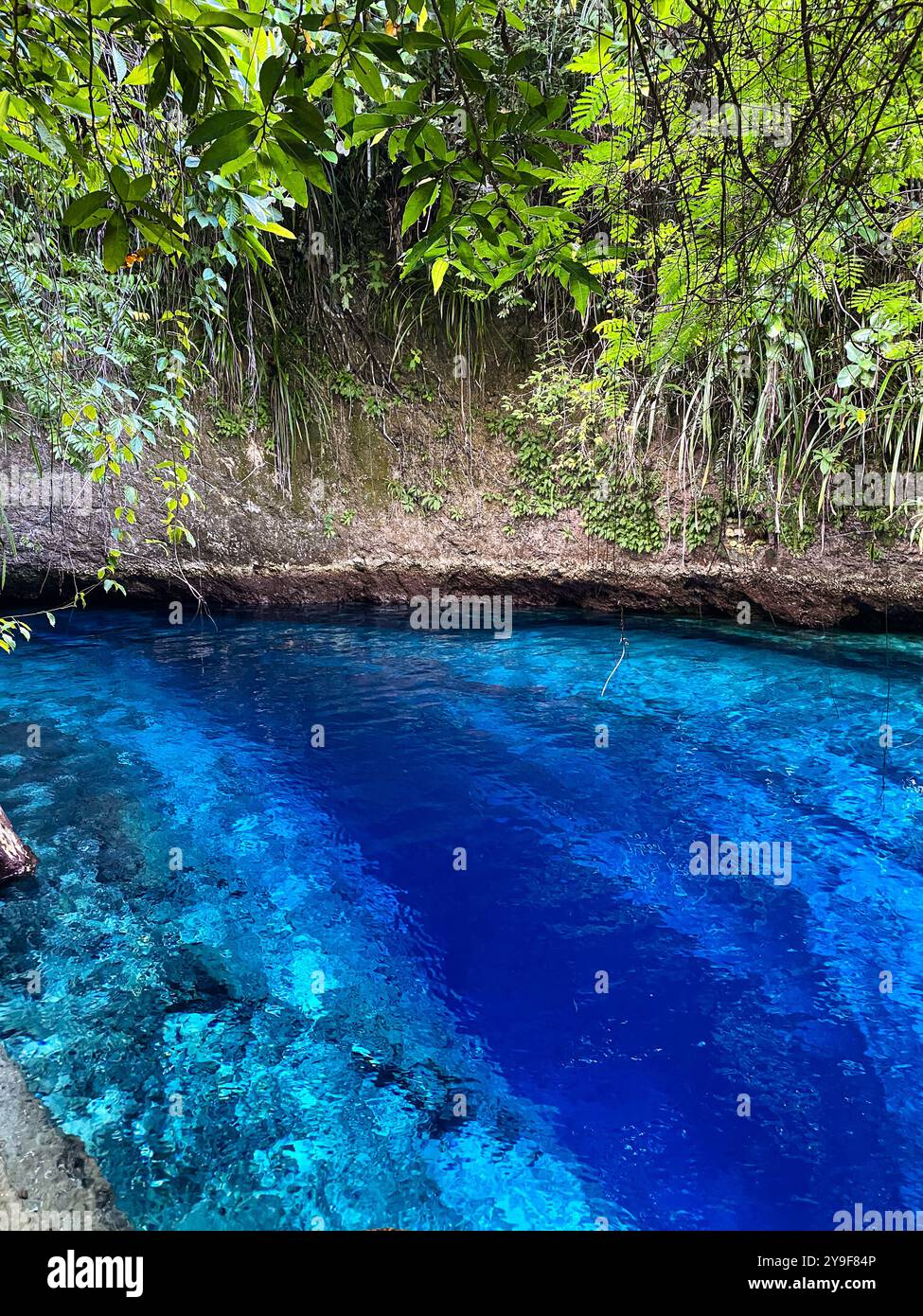 Blue water in Hinatuan Enchanted River. Surigao del Sur. Philippines ...