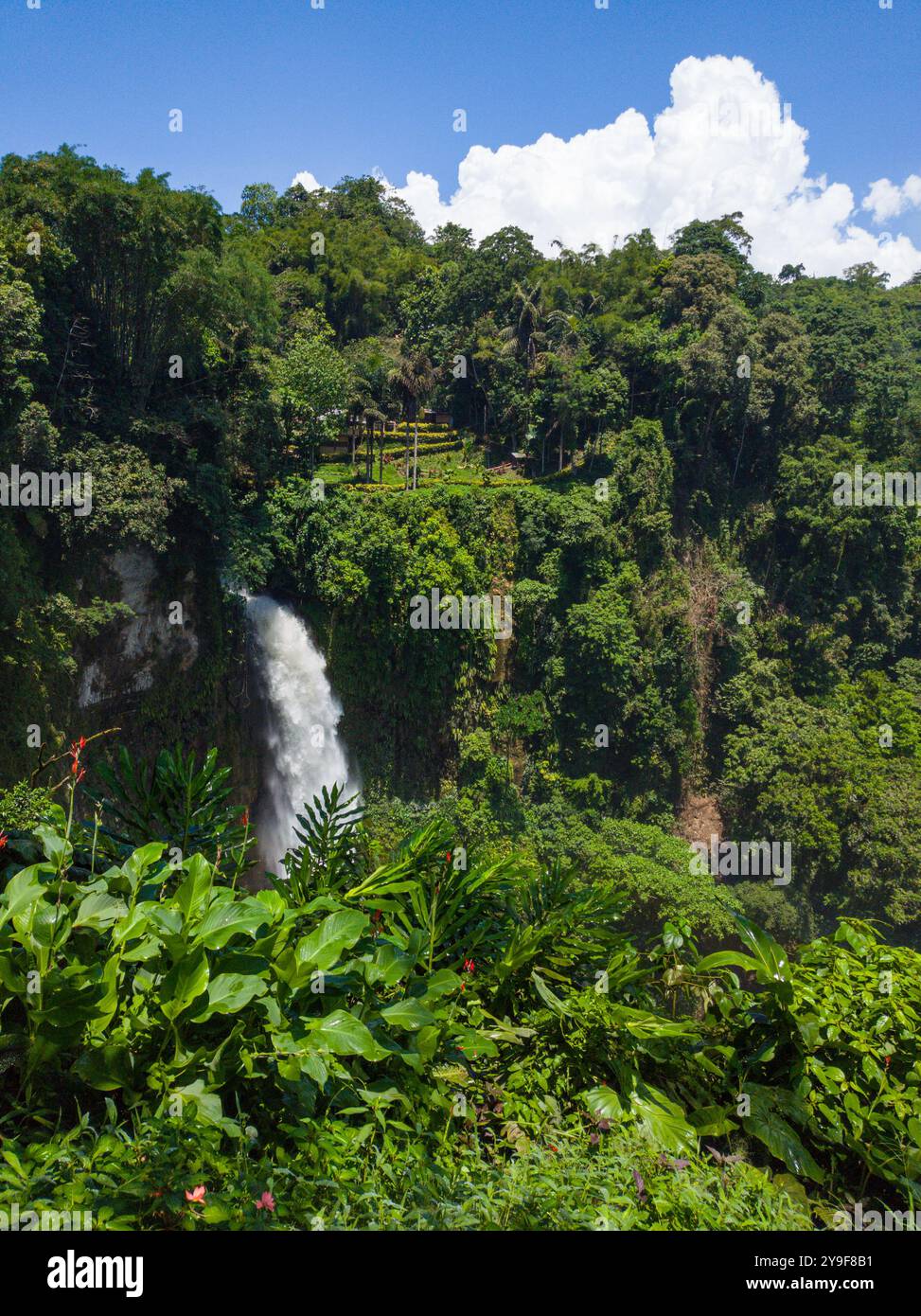Mountain forest with waterfalls. Hikong Bente Falls. South Cotabato ...