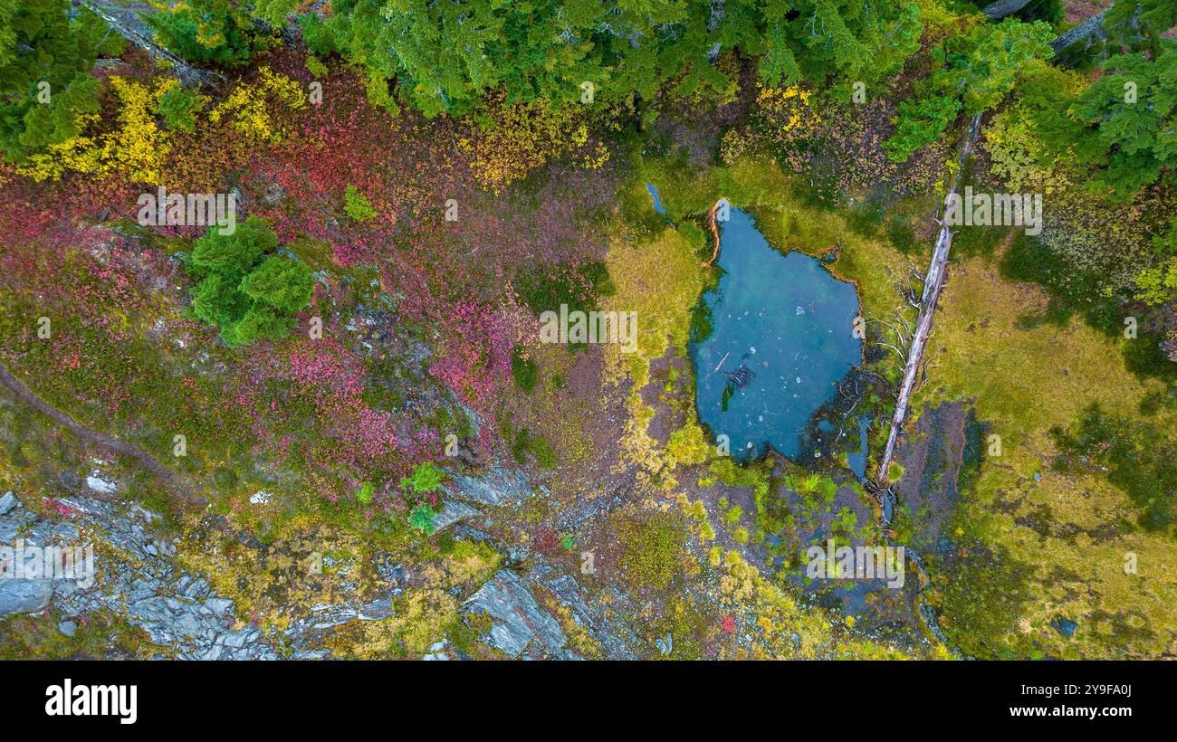 Aerial view of alpine tundra landscape on Mount Baker, Washington State ...
